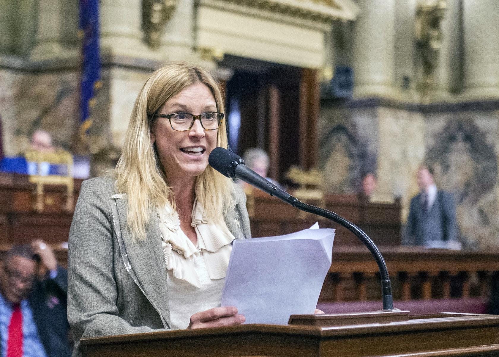 ‘Tiger King’ bill has been introduced in State House | News, Sports ...